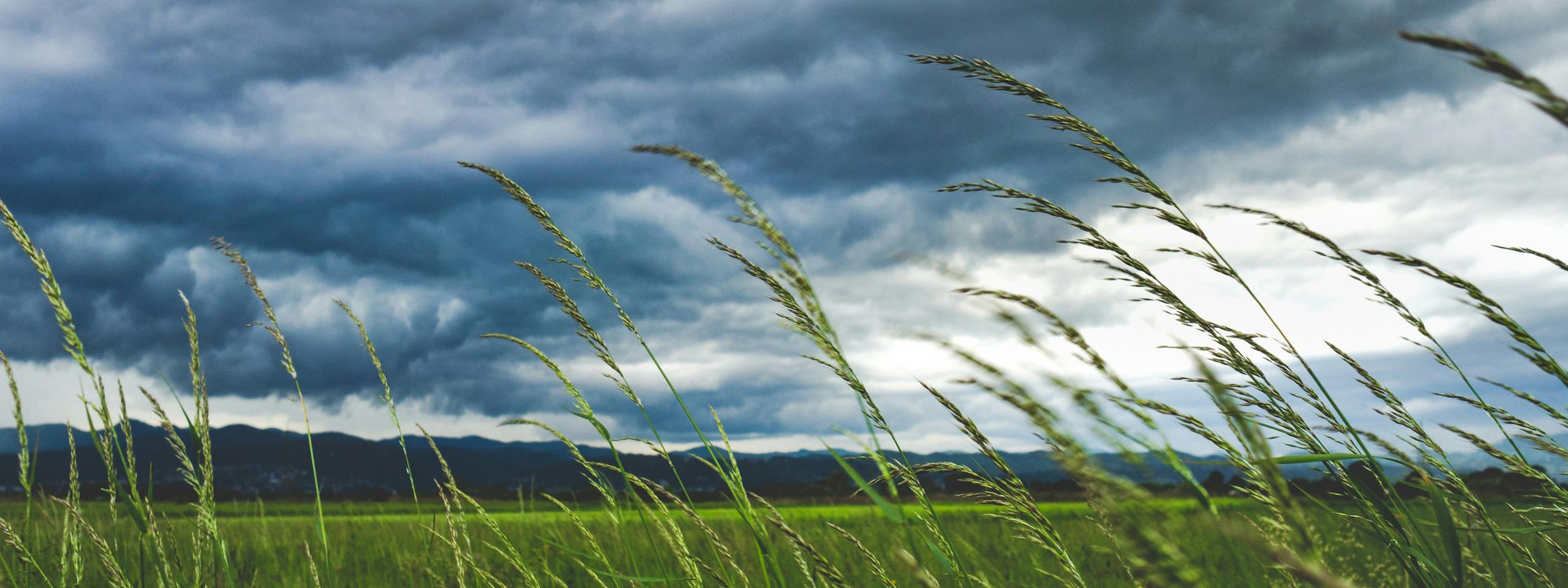 Inversionswetterlage erklärt – Wetter-Alarm